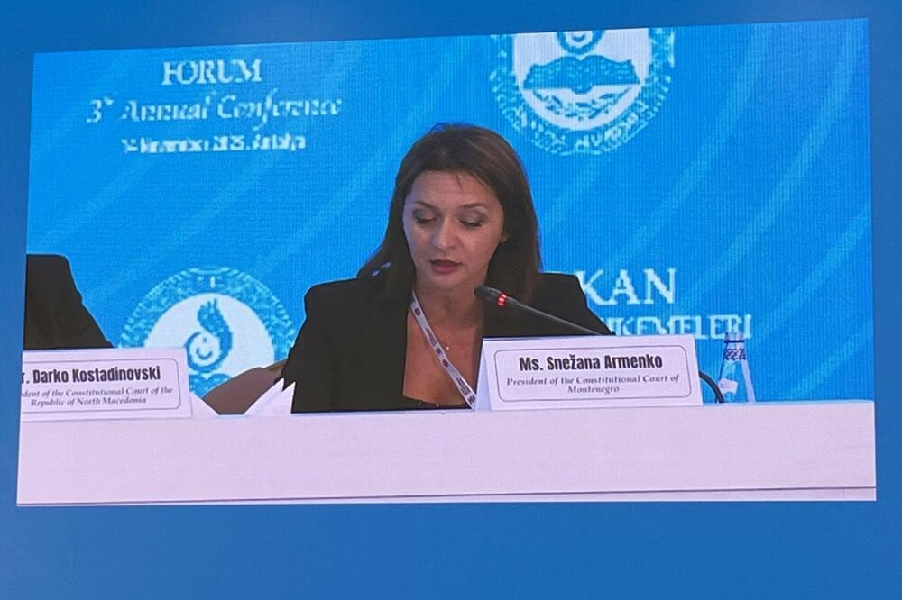 Armenko: Brojne odluke pokazuju da se ideja ljudskih prava ne može ...