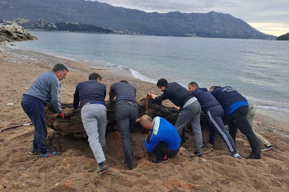Budva: Realizovano čišćenje gradske plaže Pizana, prikupljeno preko ...