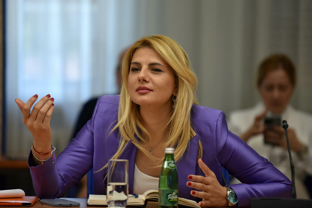 Nedović traži nešto čega još nema: Administrativnom odboru stigli spisi ...