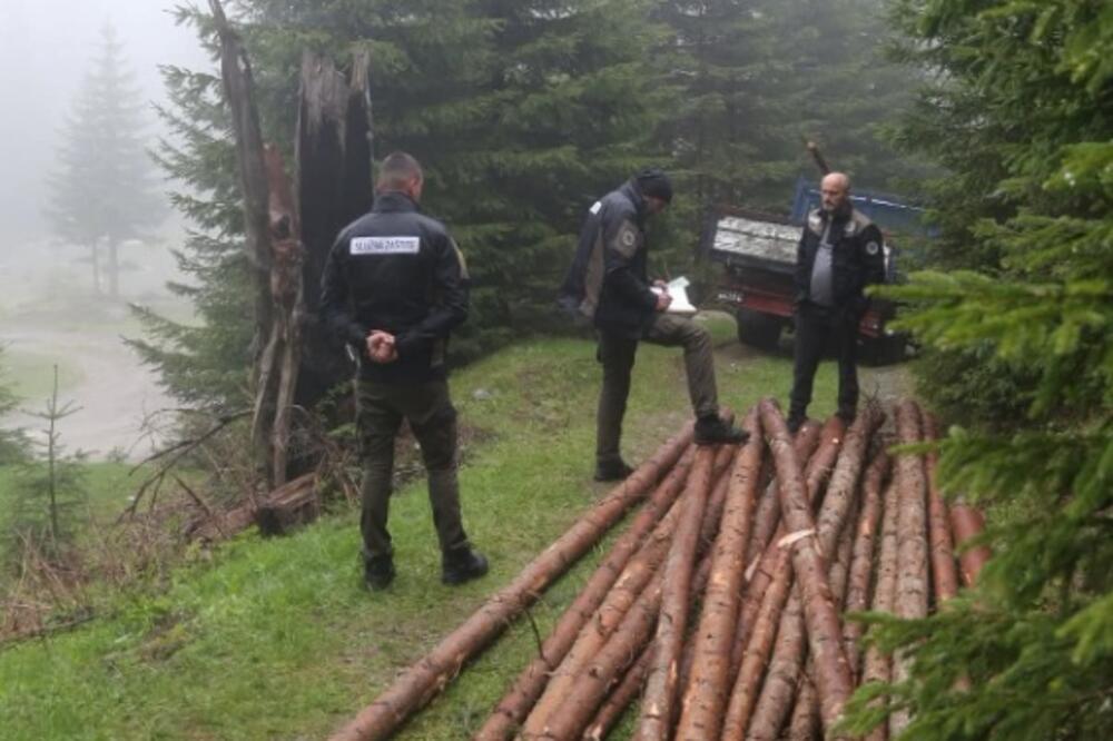NPCG: Bespravna sječa šume na području NP Prokletije - Pocetna.me