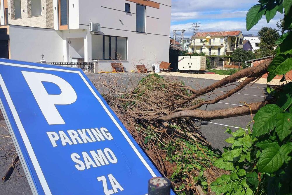 Pijavica rušila stabla i saobraćajne znakove u Štoju, smrskala ...