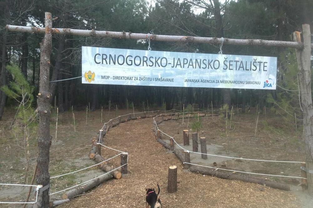 Najnovije vijesti Ulcinj - Pocetna.me