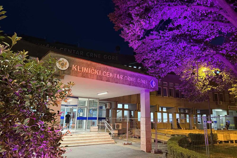 Vuković Đuričanin: Atopijski ekcem jedna od najčešćih kožnih bolesti ...